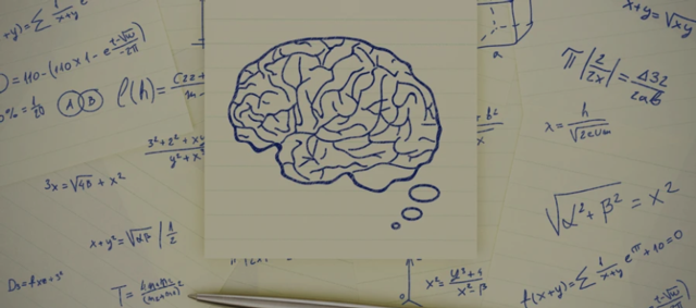 How Does The Brain Work? - SFI Health Middle East