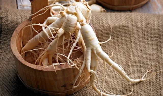 Types Of Ginseng – Many Species And Wide-Ranging Uses - SFI Health ...